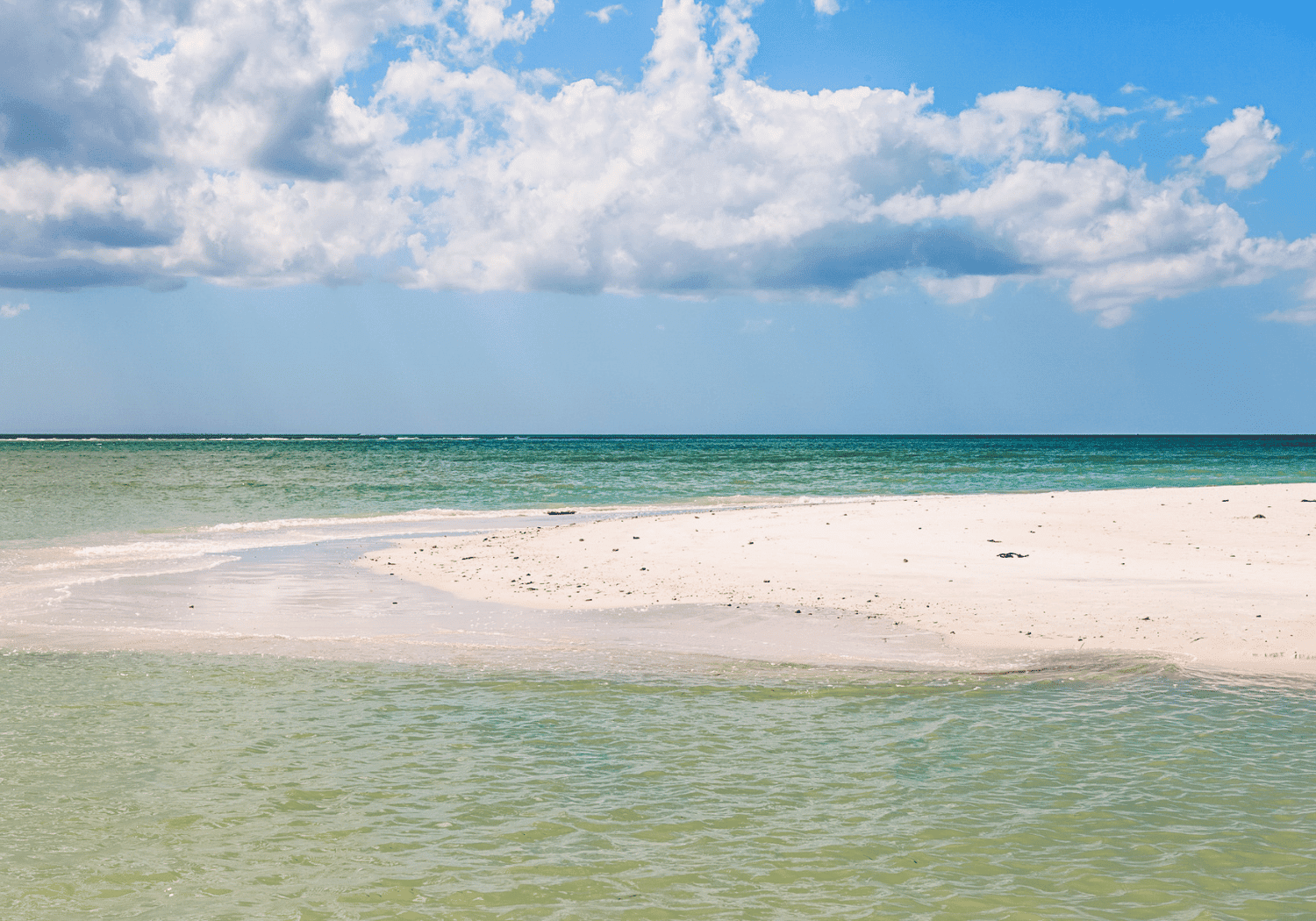 Florida Beaches Clear Water Honeymoon Island | TopBestPlace.com ...